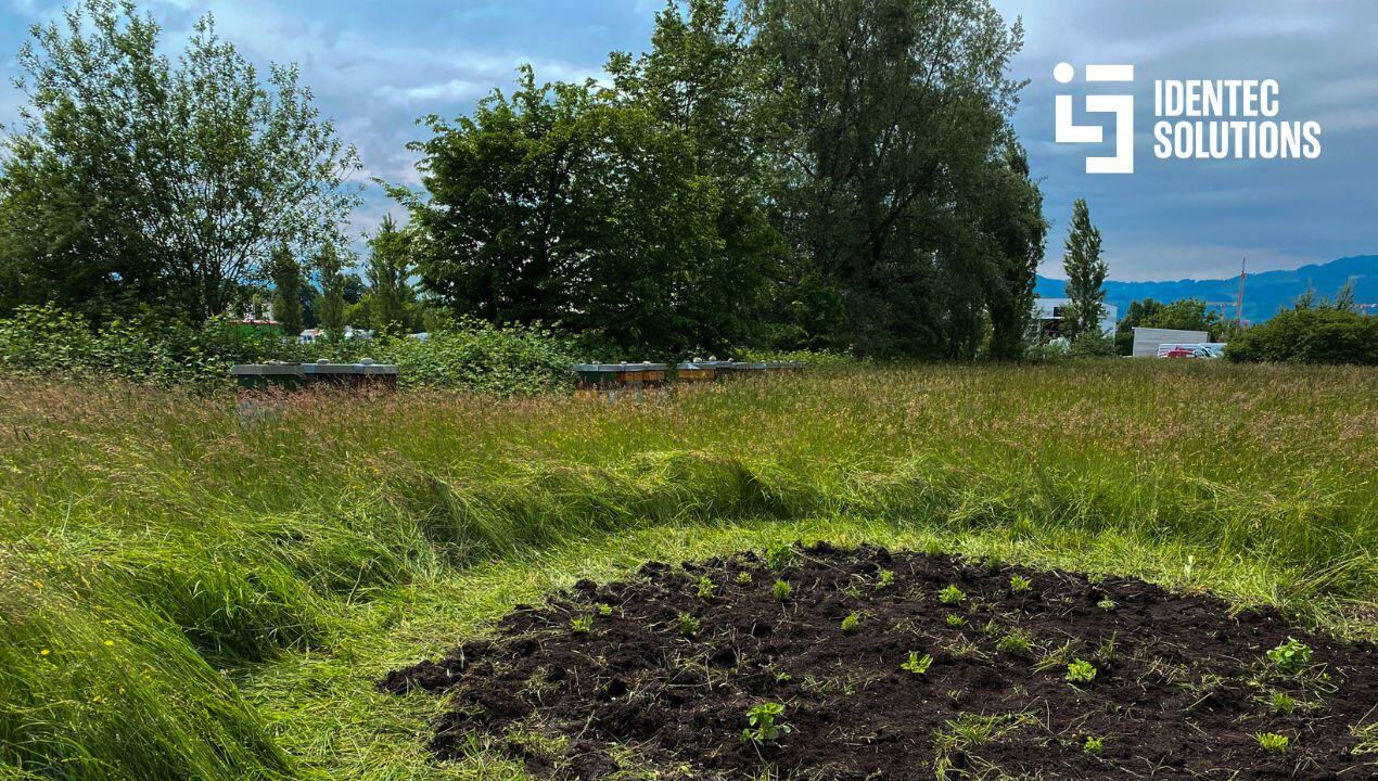 Identec Solutions' First Garden Day